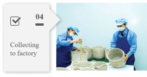 Our Factory - Bamboo PQ